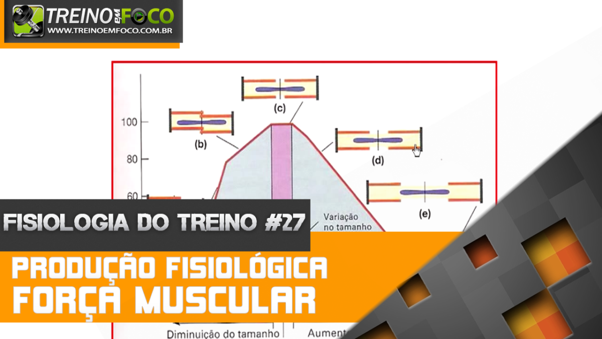 Produção fisiológica da força muscular