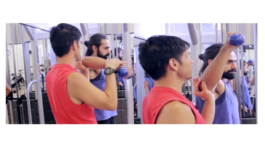 Você conhece os músculos do Manguito Rotador?