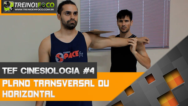 Aprenda como identificar o plano transversal ou horizontal.