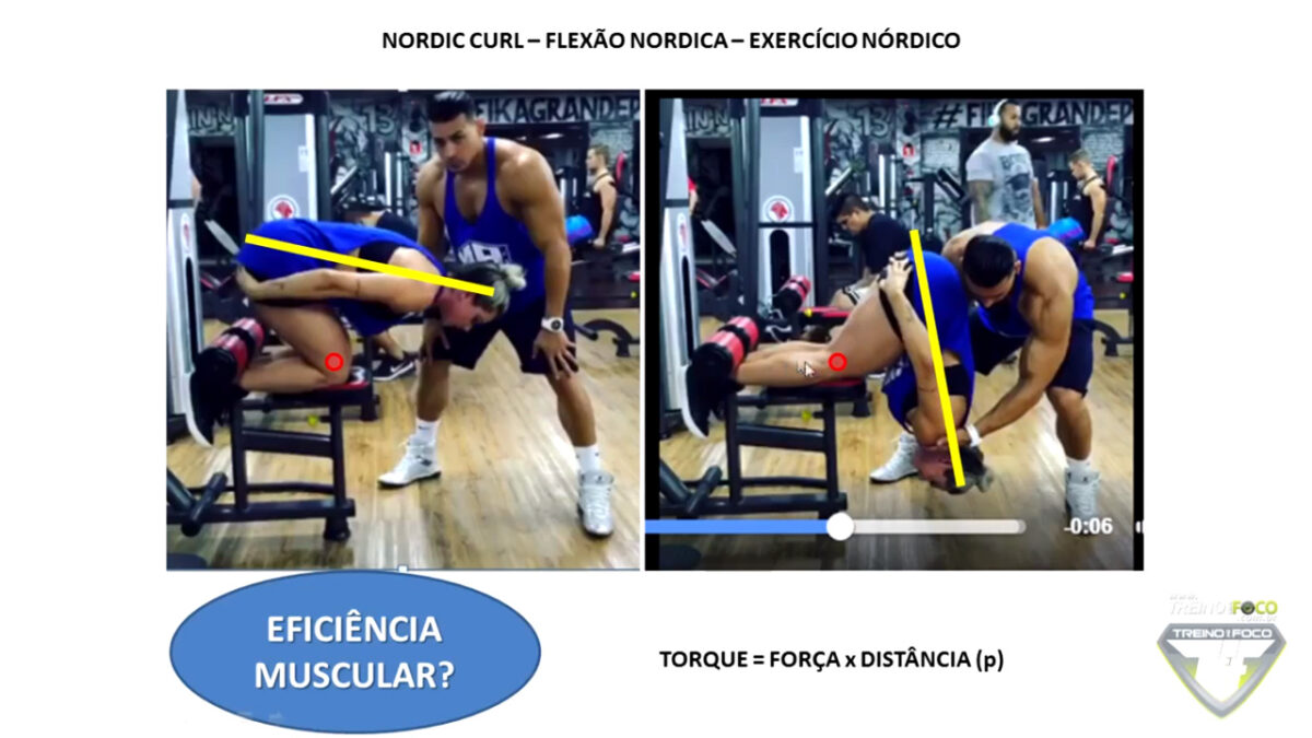 Flexão Nórdica - Análise biomecanica