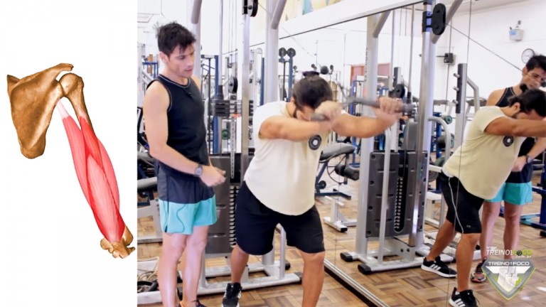 Tríceps Testa na polia - Dicas para executar