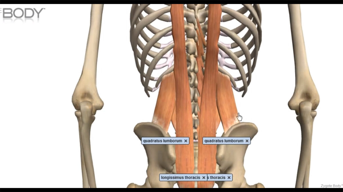 Como fazer alongamento para região lombar da coluna vertebral?