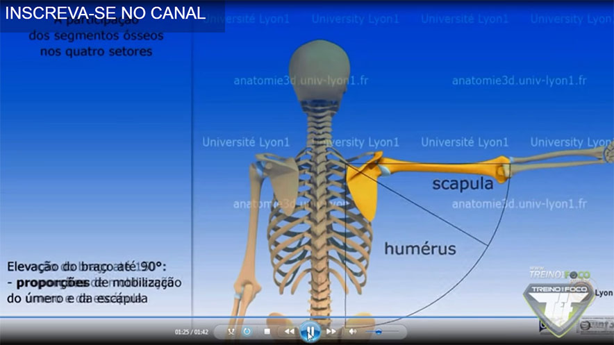 Elevação lateral - qual o ângulo mais intenso na execução?