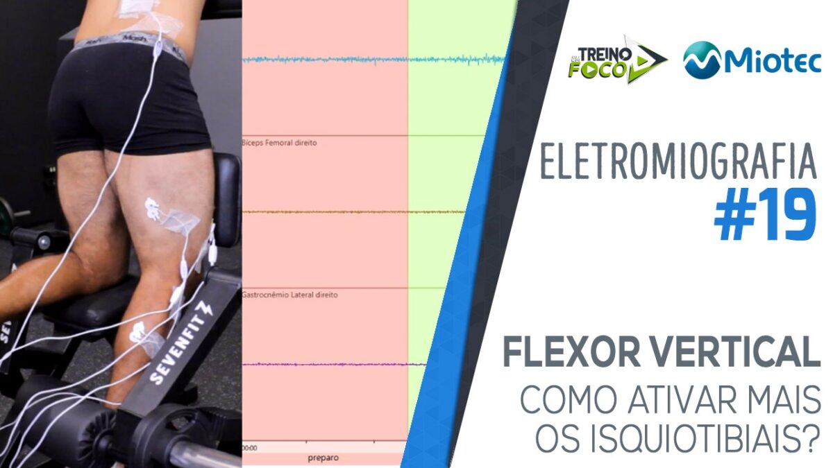 Exercicio De Flexao Vertical Das Pernas